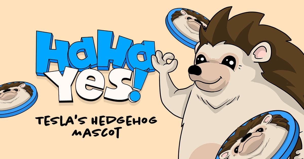 Rizo Hahayes - Tesla's Hedgehog Mascot!