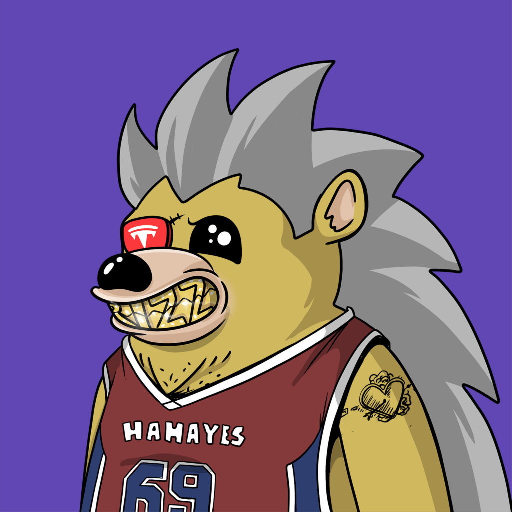 Rizo Hahayes - Tesla's Hedgehog Mascot!