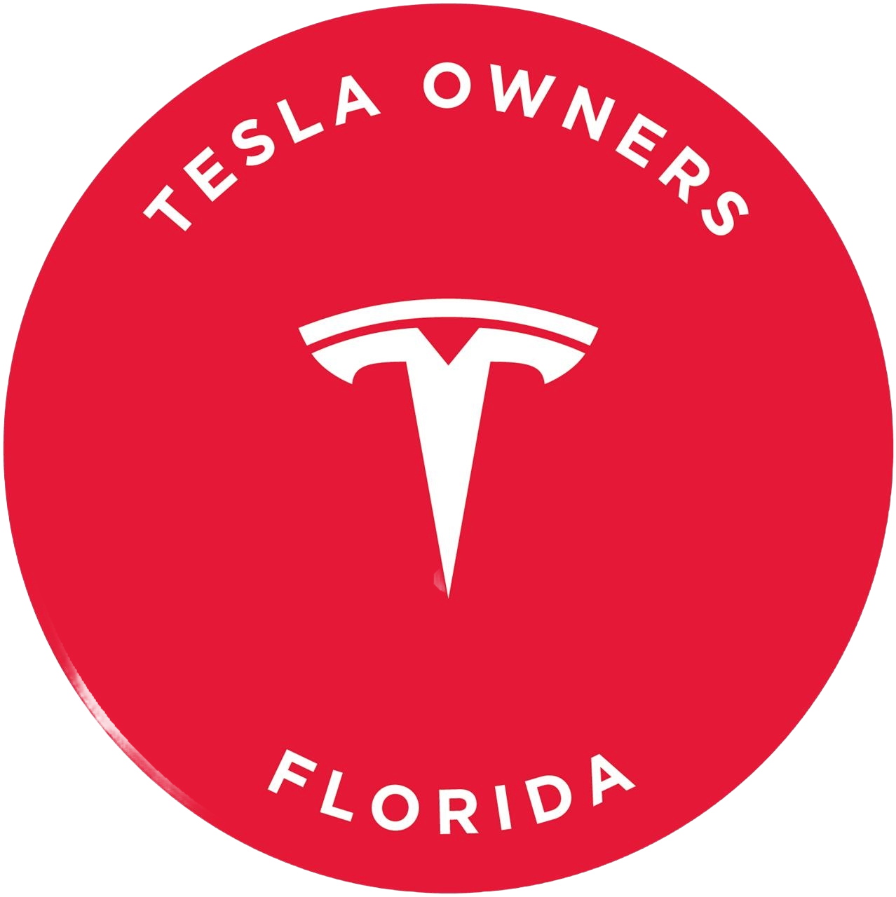 Rizo Hahayes - Tesla's Hedgehog Mascot!
